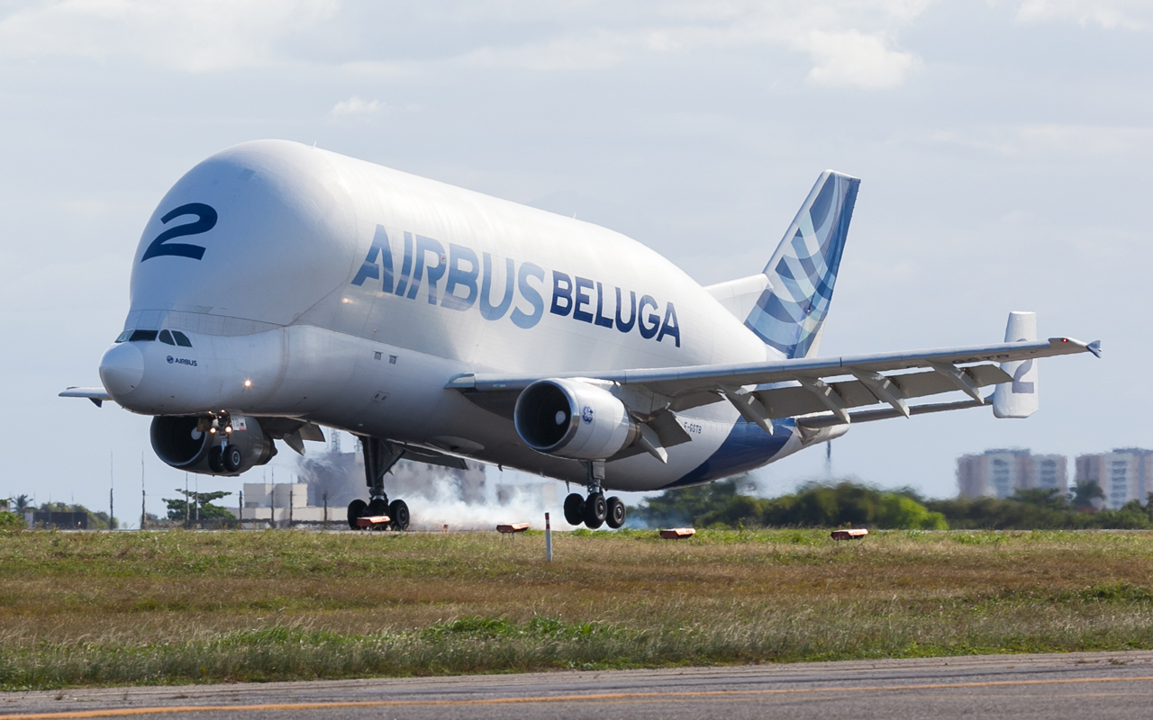 Airbus heeft vliegvergunning binnen voor eigen Beluga-transportdivisie ...