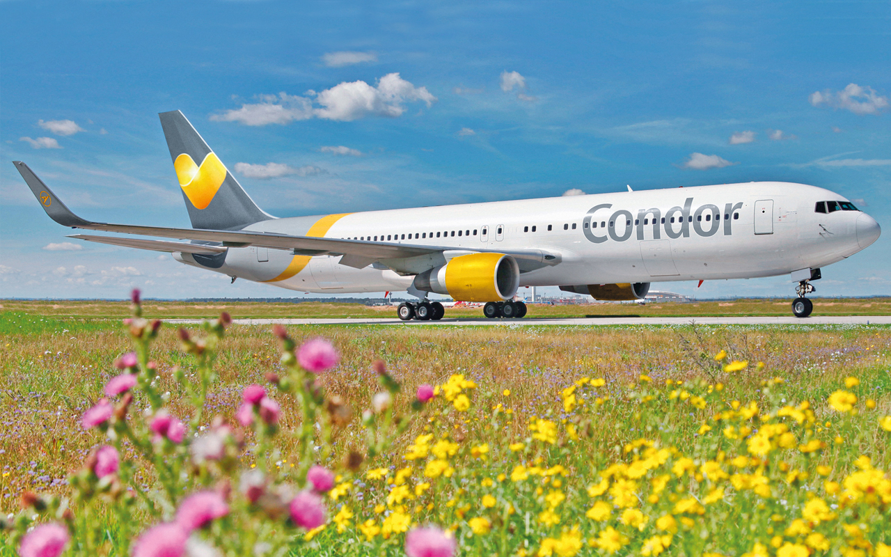 Condor vliegt ook komende winter naar Curaçao | Luchtvaartnieuws