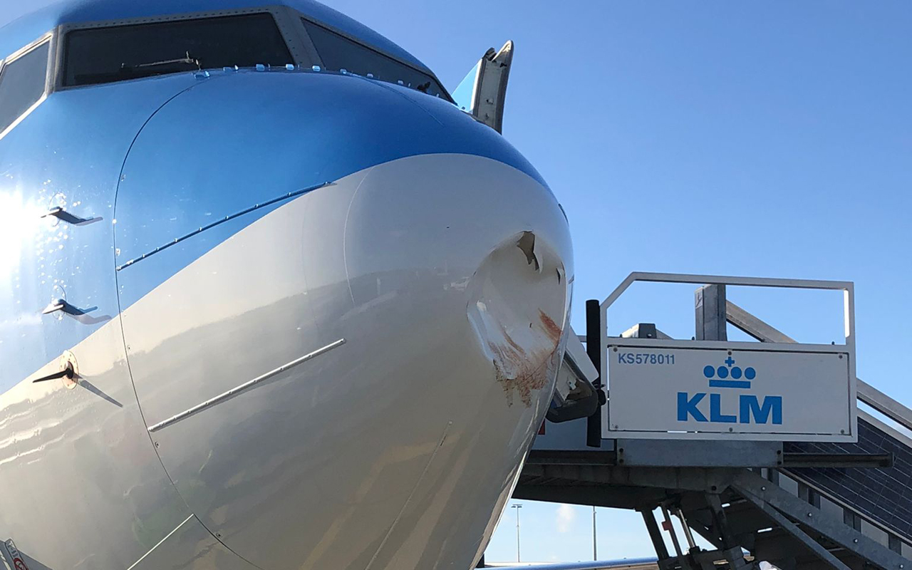 Vliegtuig TUI fly keert terug naar Schiphol na vogelaanvaring ...